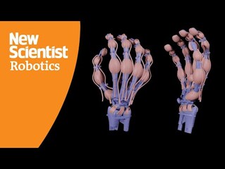 3D-printed robotic hand has working tendons and muscles